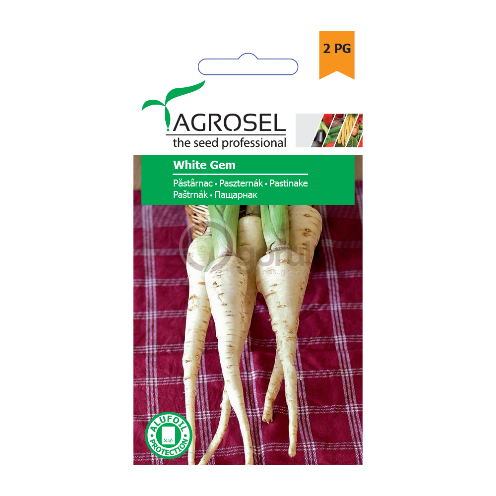 Seminte Pastarnac White Gem (banda), Agrosel pret 2.92 Lei - Ogorul.ro
