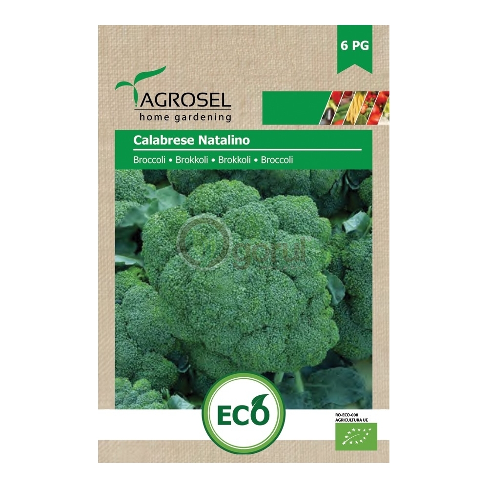 Seminte Agrosel Bio Broccoli Calabrese Natalino, 2.5gr pret 4.95 Lei ...