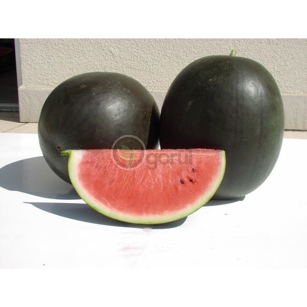 Seminte pepene verde Nostalgia , 1000 sem pret 240.20 Lei - Ogorul.ro